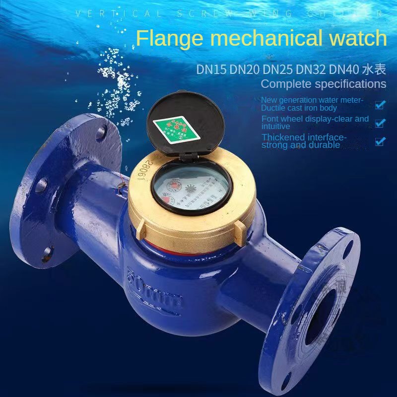 Buy Water Flow Meter Flange Type Size 2 DN50 at Best Price