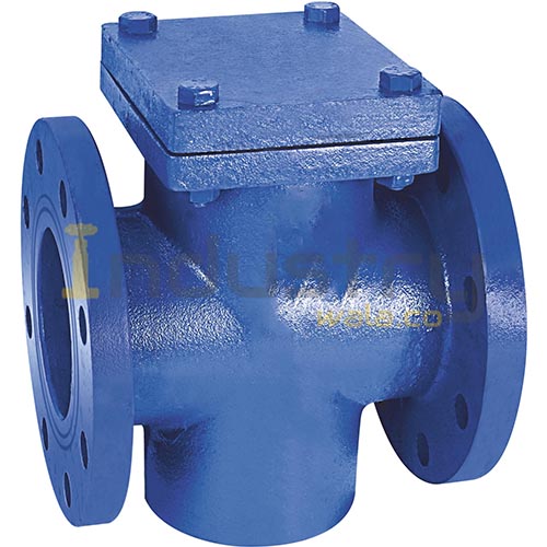 Buy Cast Iron Strainer Flange T Type at Best Price