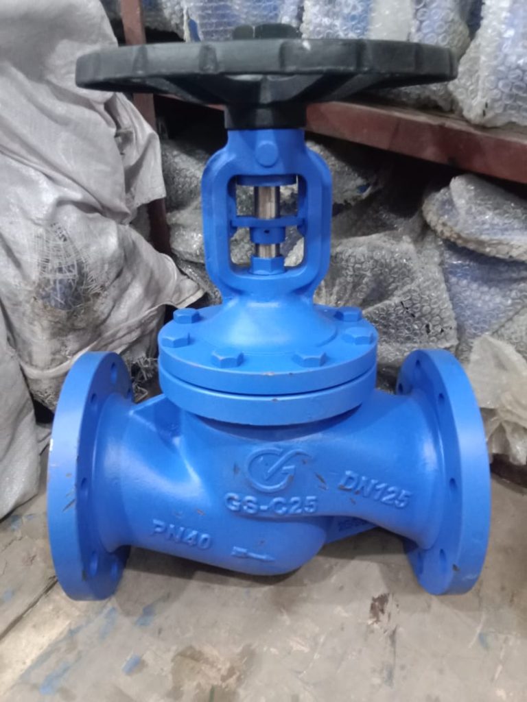 Buy Bellow Seal Globe Valve PN40 Flange Type (GV) at DayShop.pk