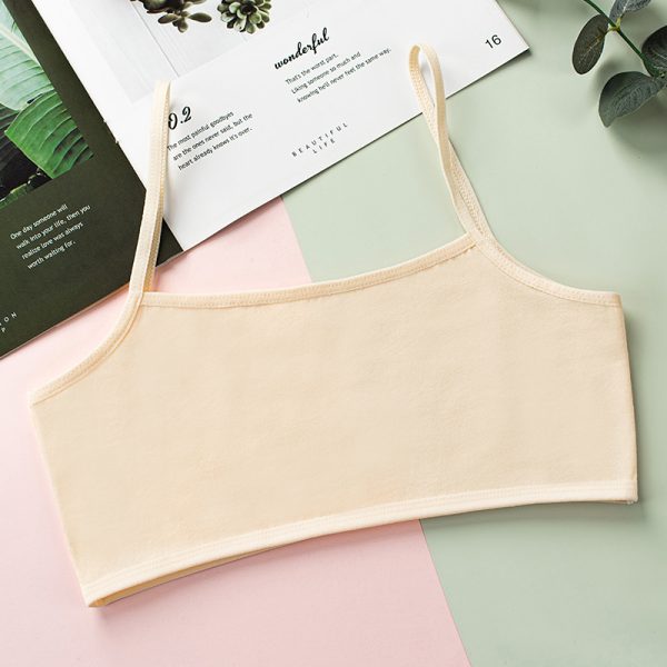Buy Bra Girls 8-14 Years Flat Padding Underwear Best Price